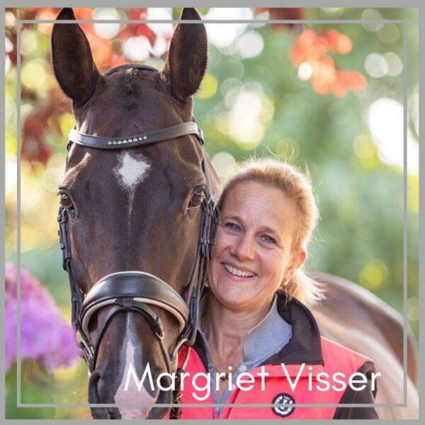 Artrose bij paarden - Bartels Instituut